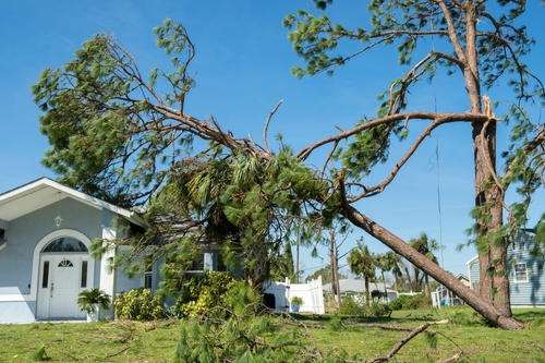 How to Prepare Your Home for a Hurricane Season | Checklist
